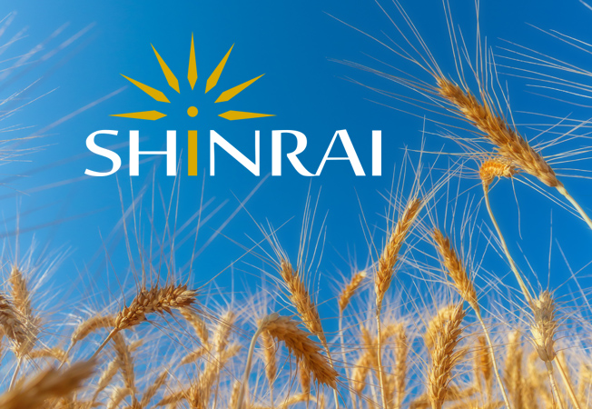 Shinrai Indonesia