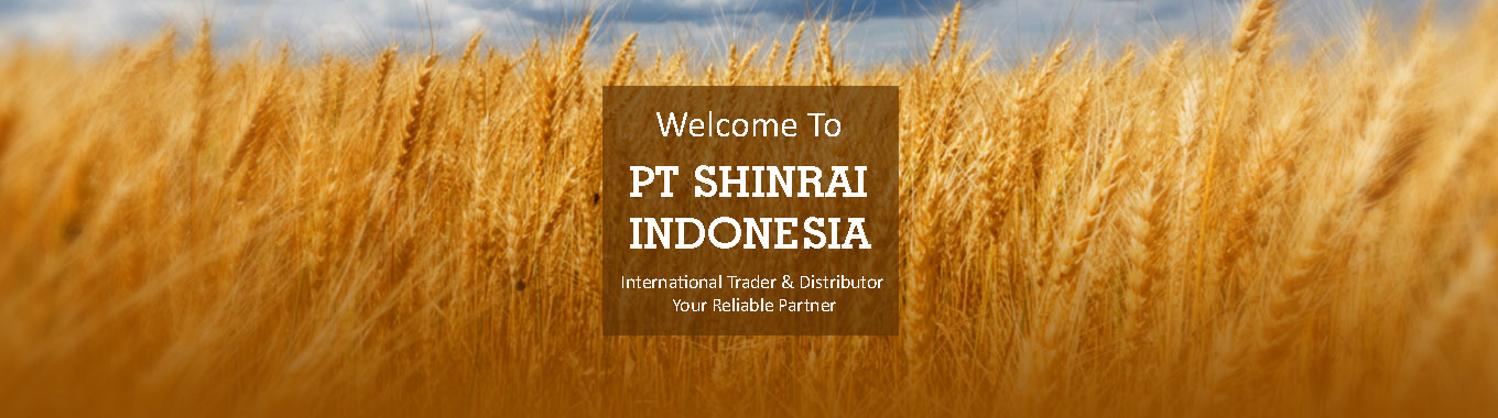 Shinrai Indonesia